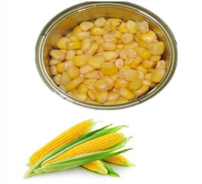China Factory Price Fresh BOOM SEASON Yellow Kernel Canned Sweet Corn in Brine  340G with Easy Open for sale