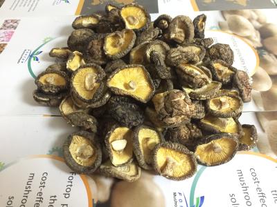 China Factory Price Premium NEW CROP  All kinds of Dried Shiitake Mushroom Whole (K-Mushroom,Brown Shiitake,Tea&White Flower) for sale