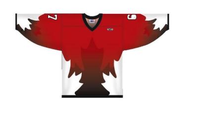 China Wholesale quality fashion sportswear Customized Denmark Quick dry Adult Unisex hockey jersey-6369 for sale
