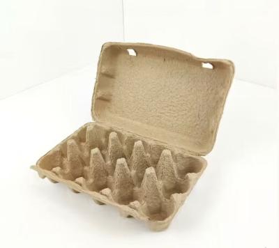 China Compostable Eco Friendly Plastic Packaging Options Supporting Green Supply Chains and Eco Conscious Business Practices for sale