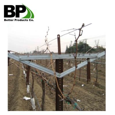 China agriculture field sign post seed stakes u channel sign post for sale