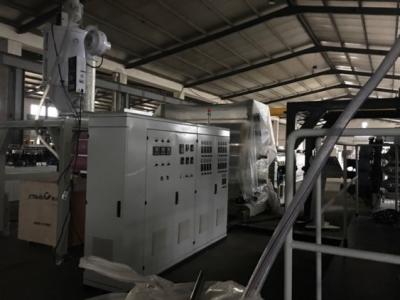 Cina Linea riciclabile macchina dell'estrusione dello strato dei fiocchi della bottiglia dell'ANIMALE DOMESTICO di produzione dello strato dell'ANIMALE DOMESTICO con controllo dello SpA in vendita