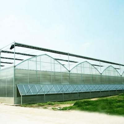 China Polycarbonate greenhouse roofing sheets for sale