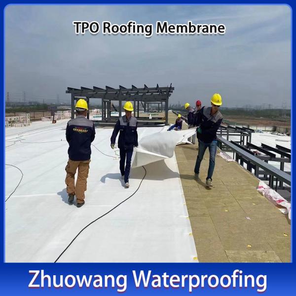 Quality 1.2-2.0mm Waterproof Tpo Roofing Membrane High Tensile For Steel & Concrete Roofs for sale