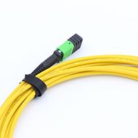 sm-mpo-patch-cord