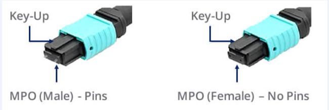 12F MPO-MPO Trunk cable Connector