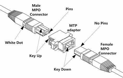 12F MPO-MPO Trunk cable Connector Type
