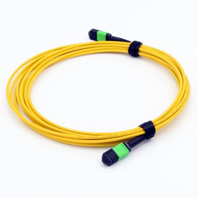 Cina 12F 16F 24F 48F MPO MPO SM Fiber Patch Cord 3.0mm LSZH G657A1 Super Low Insertion Loss in vendita