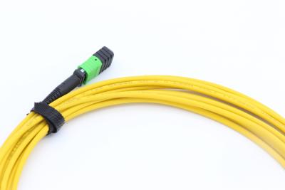 Cina 12F 16F 24F 48F MPO MPO SM Fiber Patch Cord 3.0mm LSZH G657A1 Super Low Insertion Loss in vendita