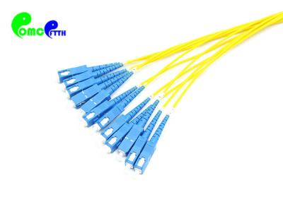 China 12 Cores Fiber Optic Patch Cables SC UPC to SC UPC SingleMode G657A Ribbon fanout 2.0mm PVC / LSZH Jacket for sale