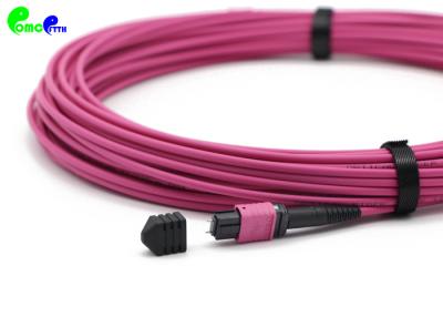 中国 24F OM4 MPOのトランク ケーブルのSenko MPOの女性- MPOの男性マゼンタLSZH 3.0mm ODケーブルのジャケットとの50/125μm 販売のため