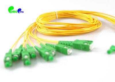 Cina Durata della vita lunga monomodale dello Sc/APC del modulo 1x8 2.0mm del Plc del separatore dell'ABS di fibra ottica della giuntura/Pigtailed in vendita