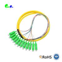 China 12F SC Pre Terminated Cable Optical Pigtail Single Mode 2 Meter for sale