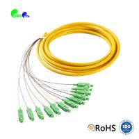 China 12F SC Pre Terminated Cable Optical Pigtail Single Mode 2 Meter for sale