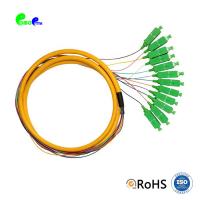 China 12F SC Pre Terminated Cable Optical Pigtail Single Mode 2 Meter for sale
