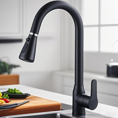 China Black Single Handle Kitchen Pull Out Faucet Spray Mode Kitchen Sink Taps for sale