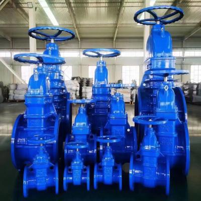 Cina Valvola di accensione di ferro fuso a doppio fianco in vendita