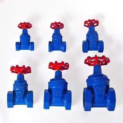 Cina Valvo di porta di idrante di gomma per tubo di HDPE in vendita