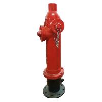 China Ductile Iron Outdoor Pillar Fire Hydrant Multi Function 65mm Customizable for sale