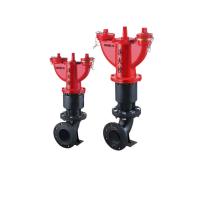 China Outdoor Fire Hydrant Ground Underground Type DN65 Cast Iron Fire Fighting Hydrant for sale