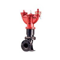 China Outdoor Fire Hydrant Ground Underground Type DN65 Cast Iron Fire Fighting Hydrant for sale