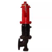 China Outdoor Fire Hydrant Ground Underground Type DN65 Cast Iron Fire Fighting Hydrant for sale