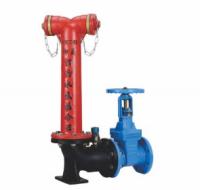 China Outdoor Fire Hydrant Ground Underground Type DN65 Cast Iron Fire Fighting Hydrant for sale