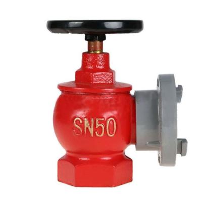 Cina 2 1/2 pollici doppio sbocco idrante d'incendio Ductile Cast Iron Cabinet Sistema SNSS65 in vendita