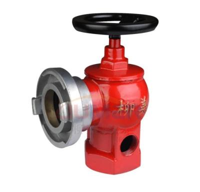 Cina 2 1/2 pollici doppio sbocco idrante d'incendio Ductile Cast Iron Cabinet Sistema SNSS65 in vendita