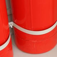 China FM200 HFC-227ea Clean Agent Fire Suppression System 70L 4.2MPa Automatic Extinguisher for sale