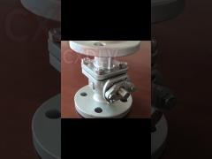 IL BACCANO rf dell'acciaio inossidabile ha flangiato valvola a sfera 2pc con l'operazione della maniglia