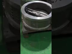 Valvola di ritegno a disco doppio wafer in acciaio inossidabile 304 Pn16 con estremità flangiate per tutte le flange fino a Pn16