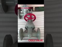 Stainless Steel Flanged Yoke Flexible Wedge Gate Valve Non-rising Stem Full Port