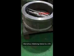 stainless steel 304 wafer dual disk check valve pn16 flange end for all flanges up to pn16