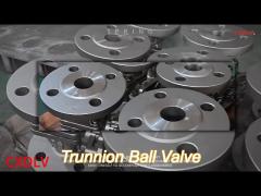 DN150 6 Inch 2PC Trunnion Ball Valve CF8M Stainless Steel Split Body Price