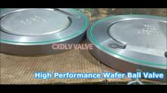 Single Plate Swing Wafer Check Valve Viton Seat