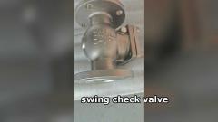 Heavy Duty Flanged Check Valve One Way Flow