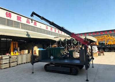 China All-Terrain Crawler Carrier Chassis with Hydraulic Lifting Boom & Stabilizer Legs for sale