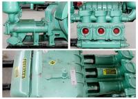 China BW250 Electric Mud Pump 250L/min 6MPa for Water Well Drilling Rig Horizontal Triplex Piston for sale