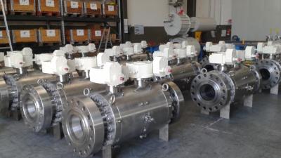 Cina Valvola a sfera molteplice del compatto di DBB API Ball Valve Trunnion Mounted in vendita