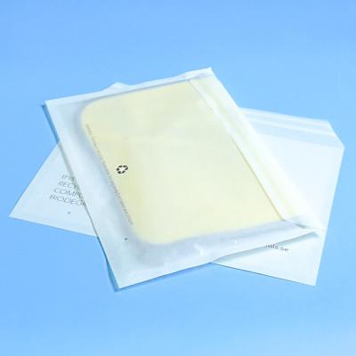 Chine Customized Frosted Glassine Paper Bags With Punched Holes Apparel Packaging à vendre