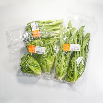 Cina Sacchetti per la conservazione delle verdure ri-chiudibili 8x12 pollici Pellicola in PE alimentare riutilizzabile Prodotti freschi ecologici Imballaggio sfuso 50/100 pacchetto in vendita