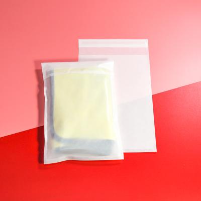 중국 100% 분해 유리 종이 가방 티셔츠 및 옷 포장용 백스 종이 가방 판매용