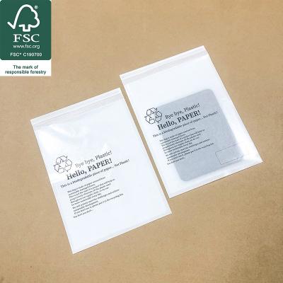 China Op maat gemaakte doorzichtige, milieuvriendelijke, geprinte papieren zakken met logo Te koop