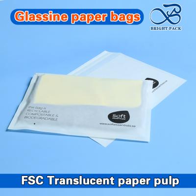 China Customized Frosted Glassine Paper Bags with Punched Holes and Self Adhesive Stripe for Apparel Packaging for sale