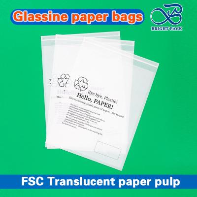 China Custom Printed Translucent Glassine Wax Paper Bags Recyclable And 100% Biodegradable Flat Bottom Glassine Bags for sale