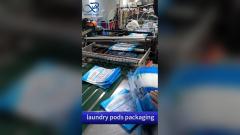 Laundry Capsules Zip Lock Bag: Child Resistant Leak-Proof B2B Custom Printed Airtight Pouches