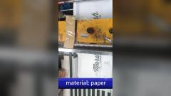 FSC-Certified Glassine Paper Bag: Food Grade Greaseproof B2B Custom Printed Pouch