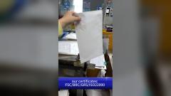 Glassine Paper Bag: FSC-Certified Food-Safe Greaseproof B2B Eco Wholesale Supplier