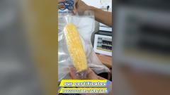 Wholesale High-Temperature Cooking Bags Food Grade Heat Resistant for Safe Meal Prep